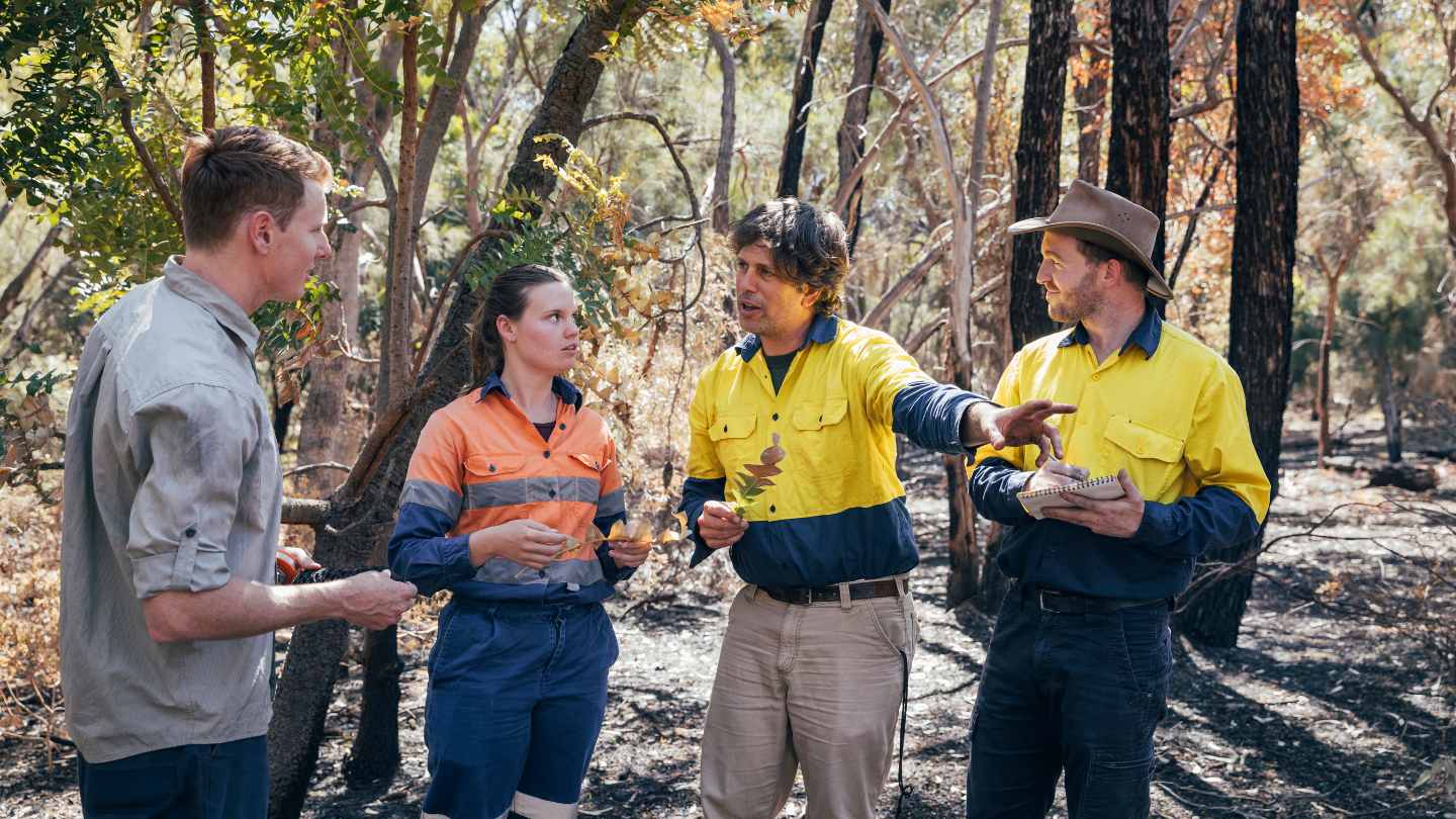 The Indispensable Role of Sustainability Experts - GlobeSustain