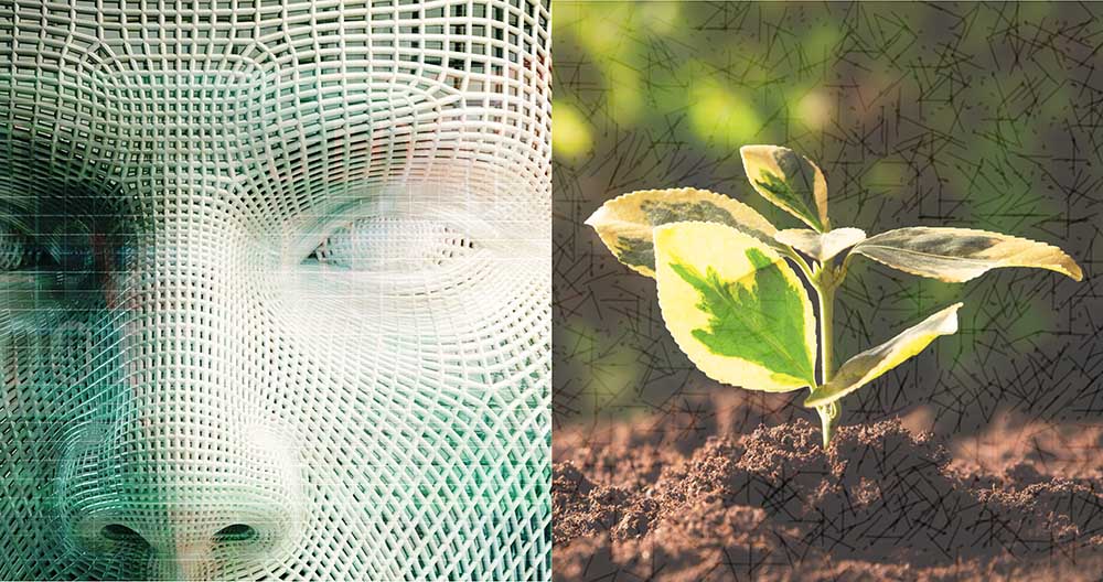 Ai To The Rescue How Artificial Intelligence Is Driving Environmental