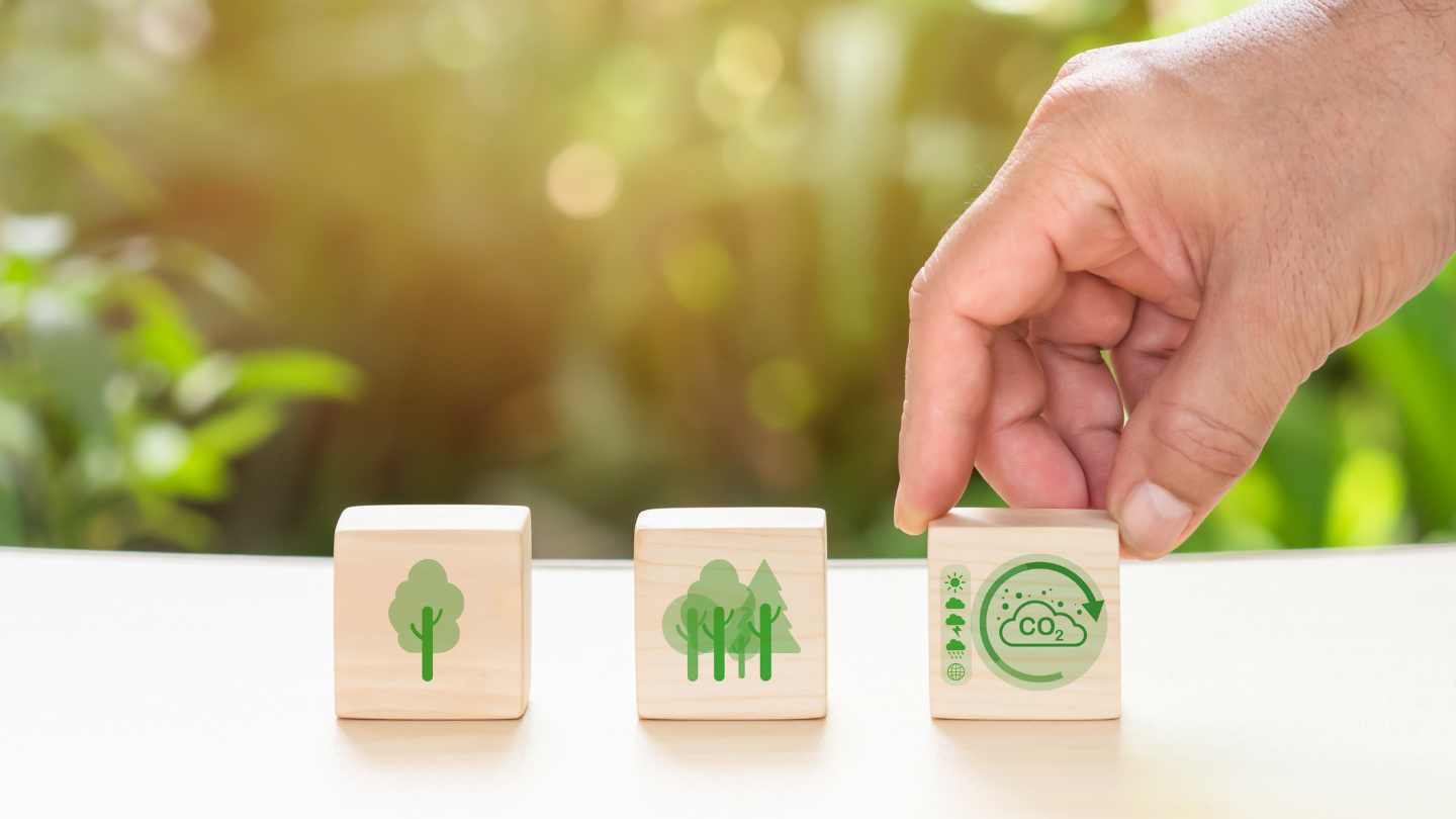 Implementing Sustainable Product Development Practices In Businesses